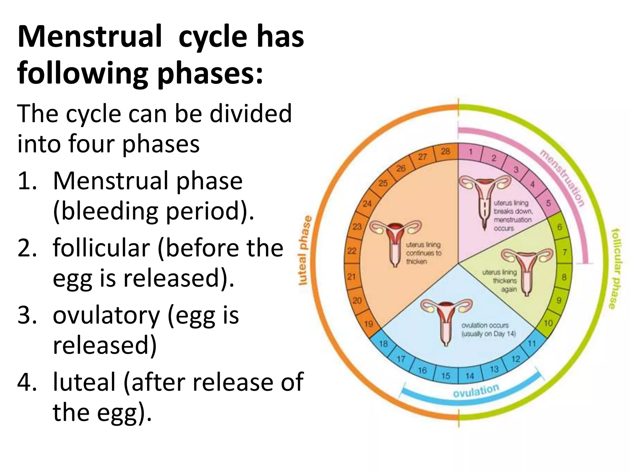 Human reproduction by mohan bio | PPTX