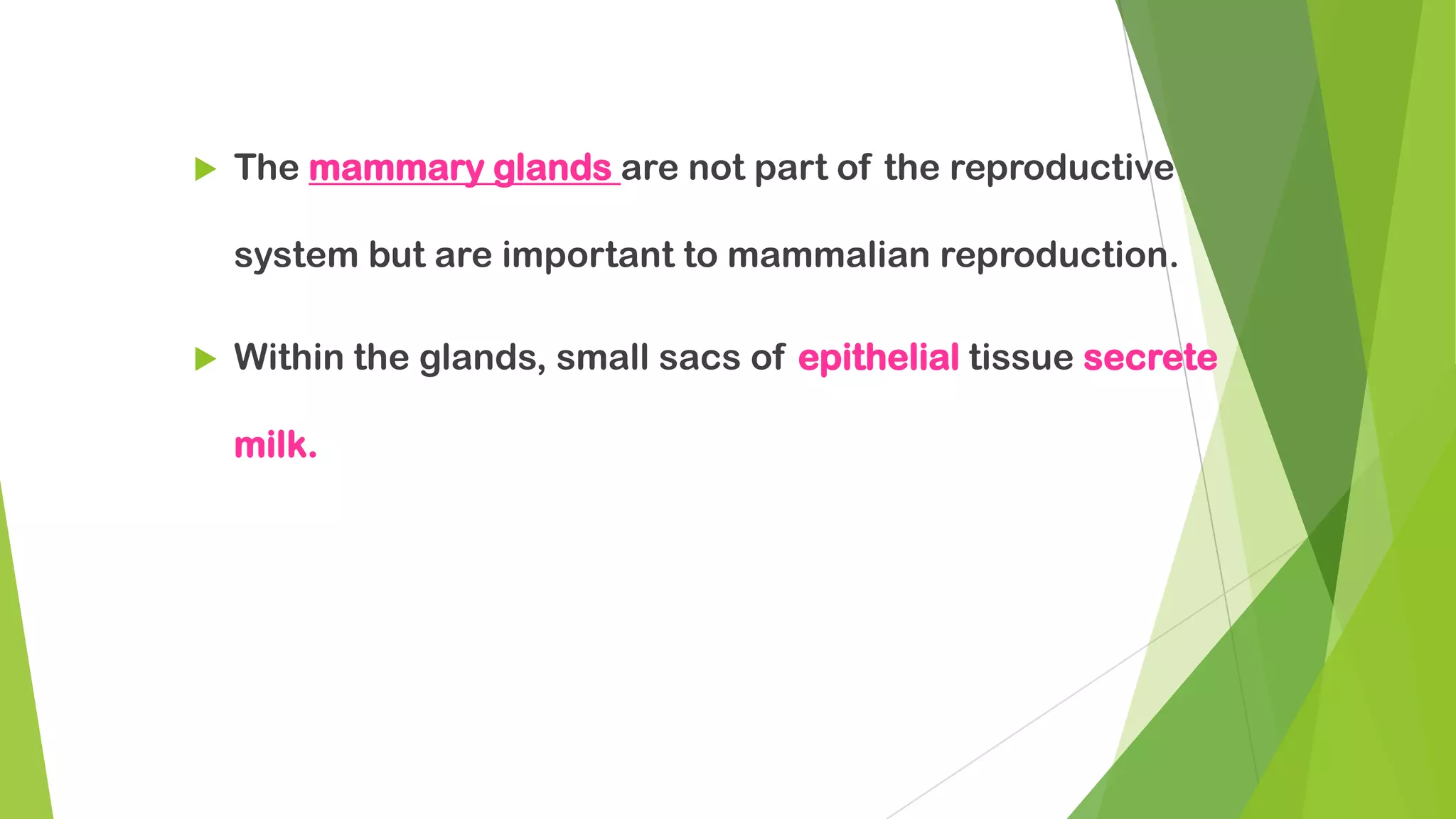 Human reproduction for grade 12 | PPTX
