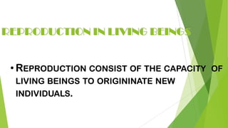 Human reproduction for grade 12 | PPTX