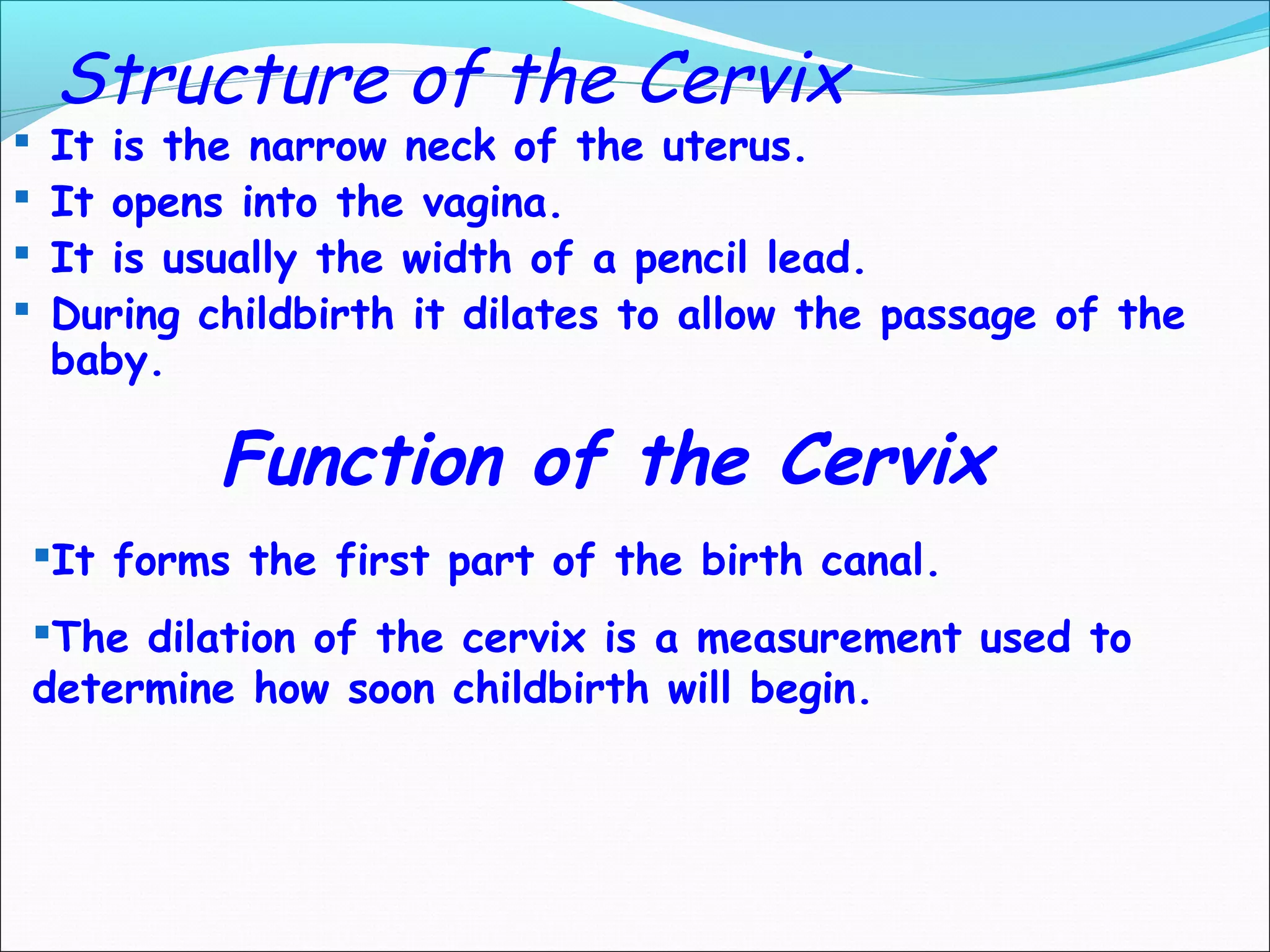 Human reproduction | PPT