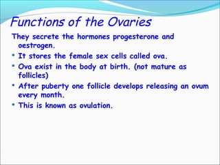 Human reproduction | PPT