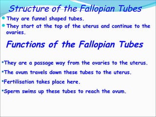Human reproduction | PPT