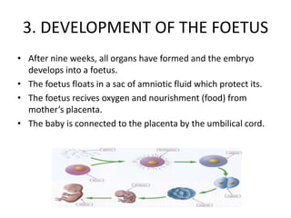 Human reproduction | PPTX