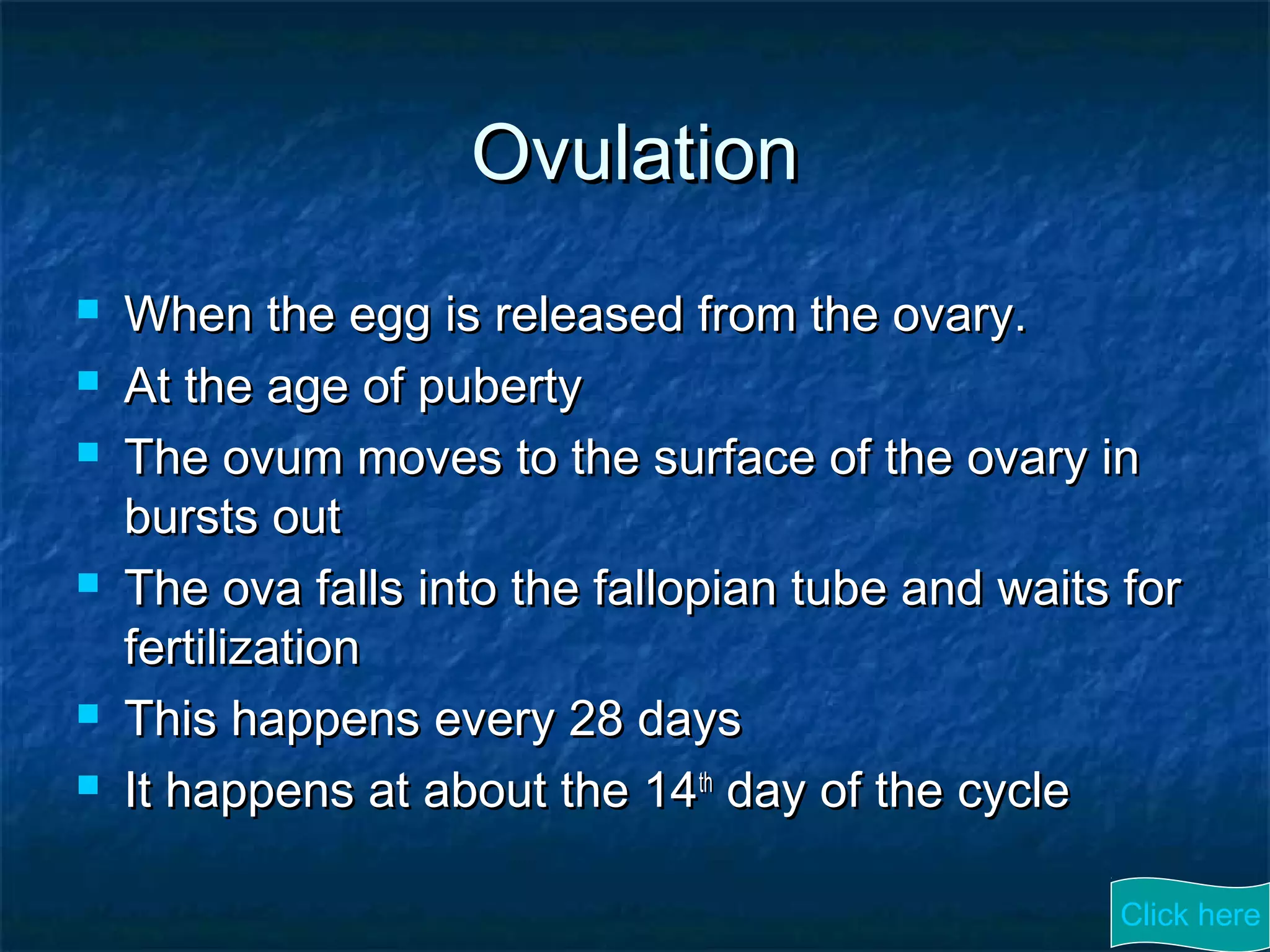 Human reproduction | PPT