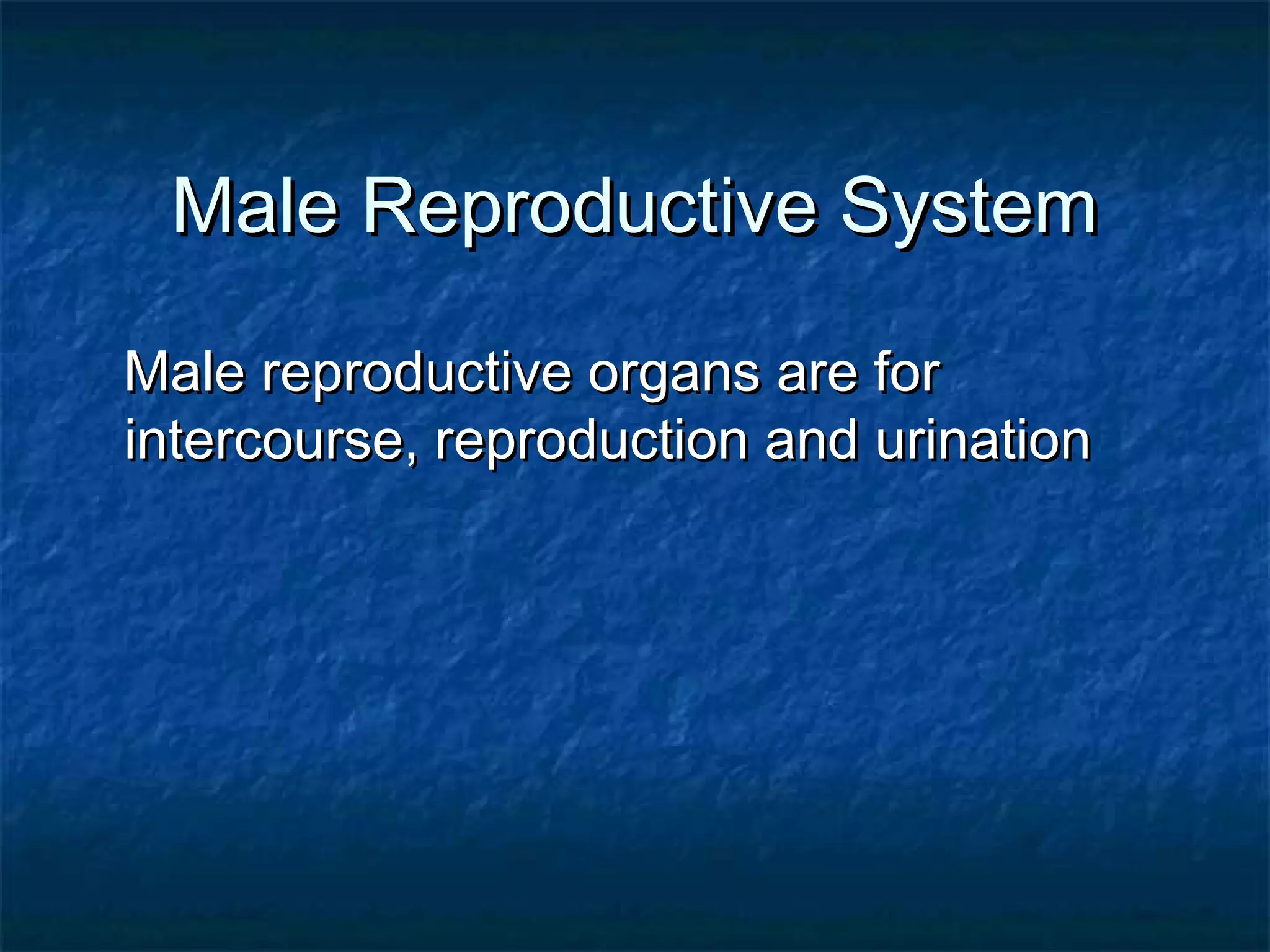 Human reproduction | PPT