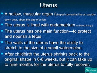 Human reproduction | PPT