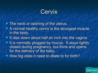 Human reproduction | PPT