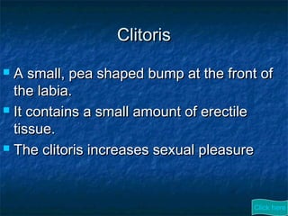 Human reproduction | PPT