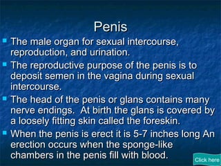 Human reproduction | PPT