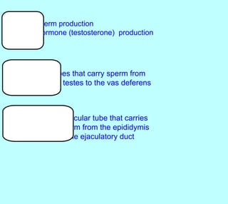 Human reproduction | PPTX