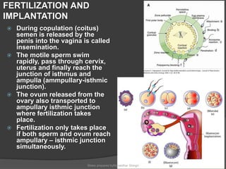 Human reproduction | PPTX