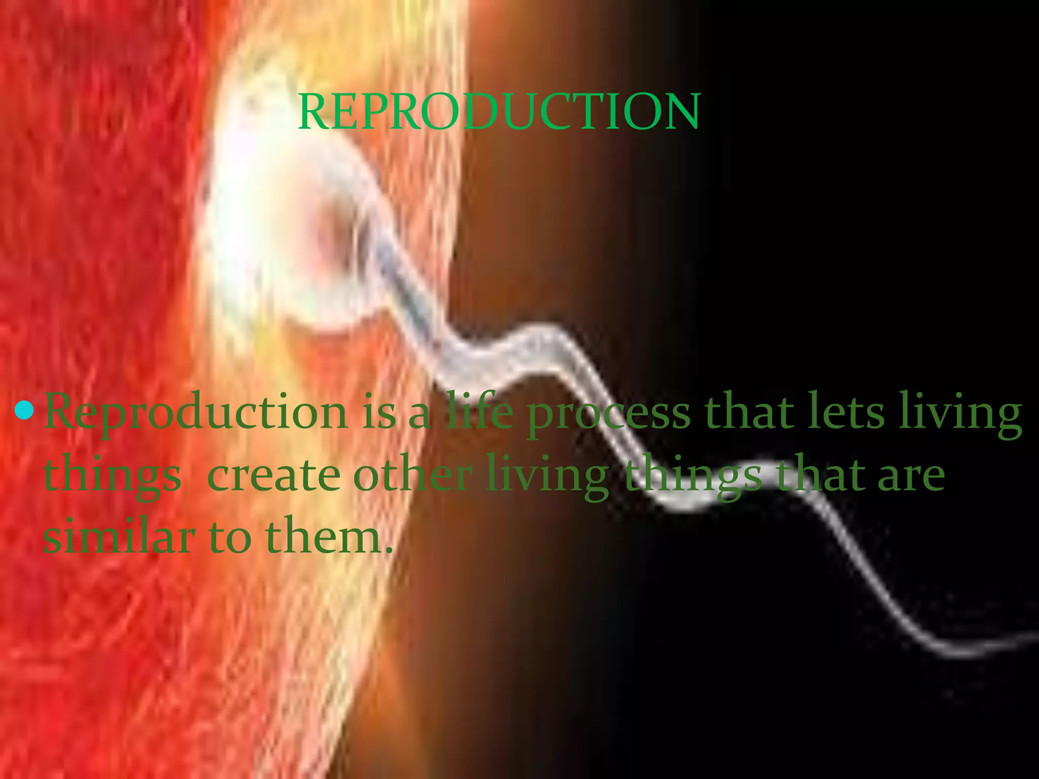 Human reproduction.2 | PPTX | Infertility | Reproductive Health