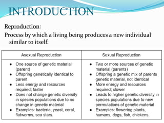 Human reproduction | PPT