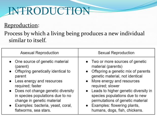 Human reproduction | PPT