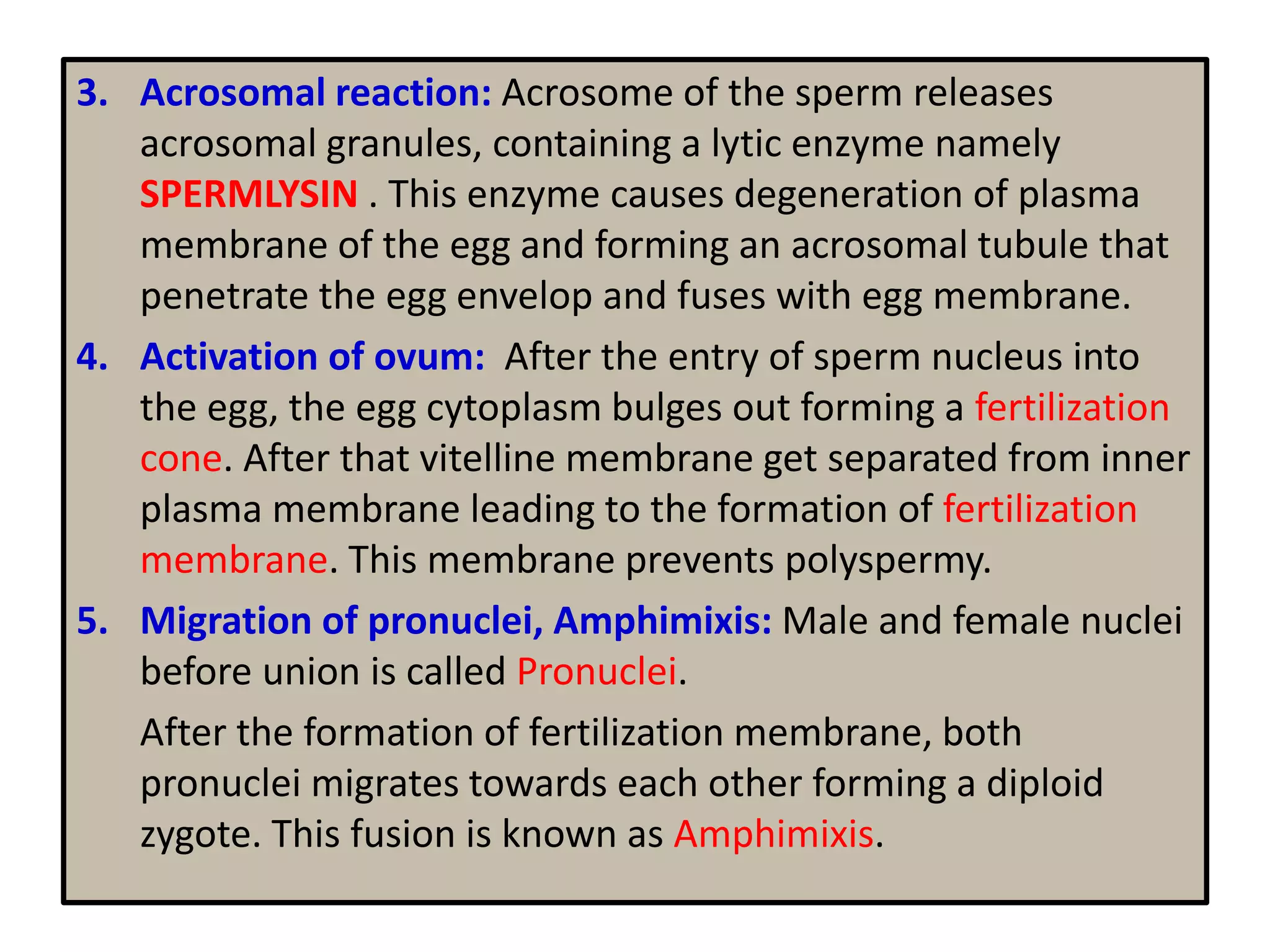Human reproduction | PDF
