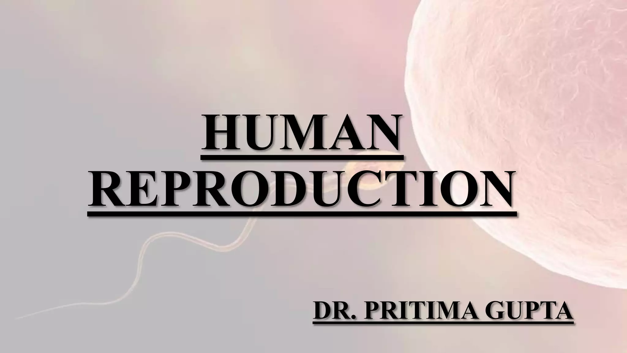 Human reproduction | PPT