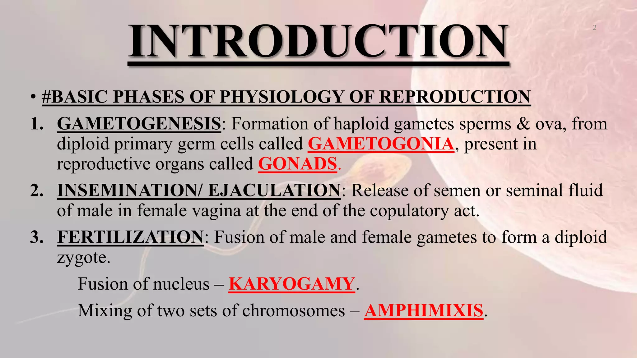 Human reproduction | PPT