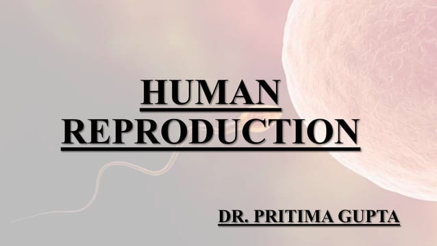 Human reproduction | PPT