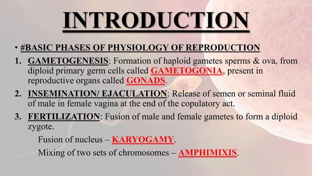 Human reproduction | PPT