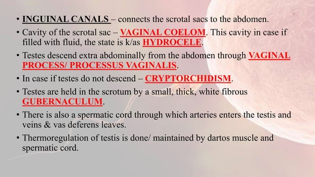 Human reproduction | PPT