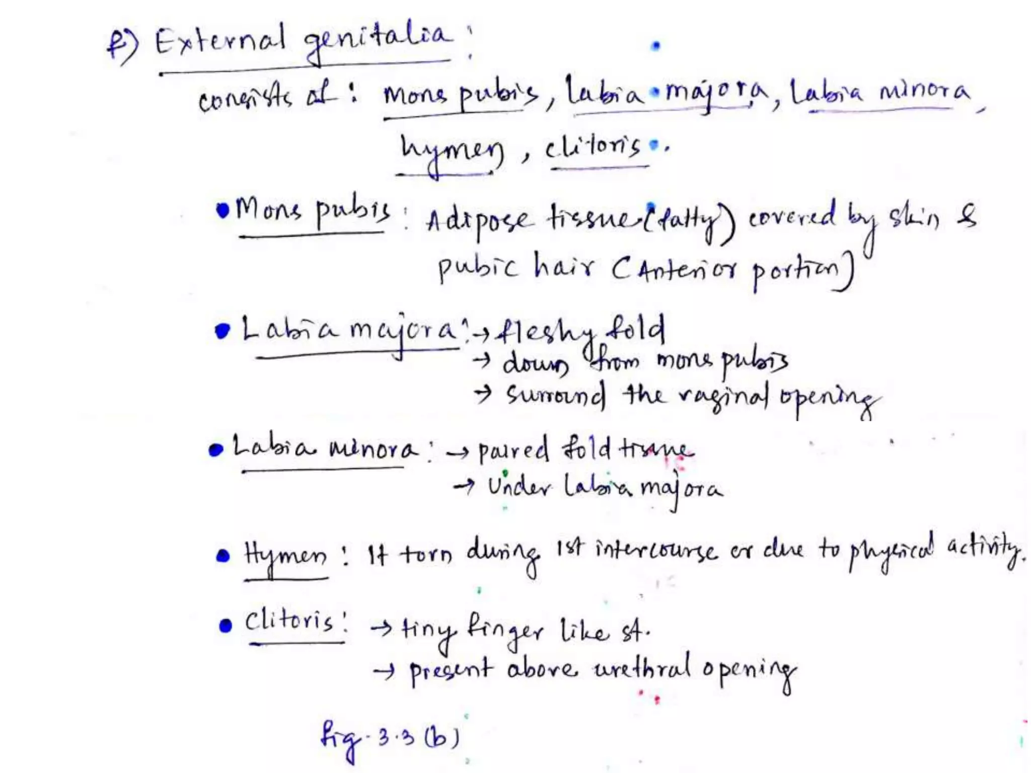 Human reproduction (Class 12) | PPTX