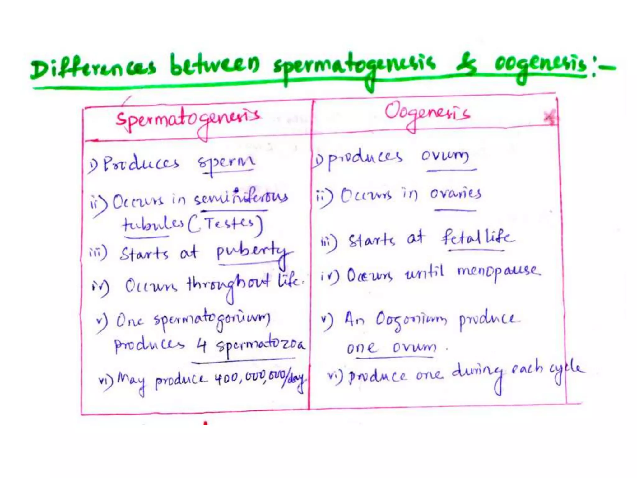 Human reproduction (Class 12) | PPTX