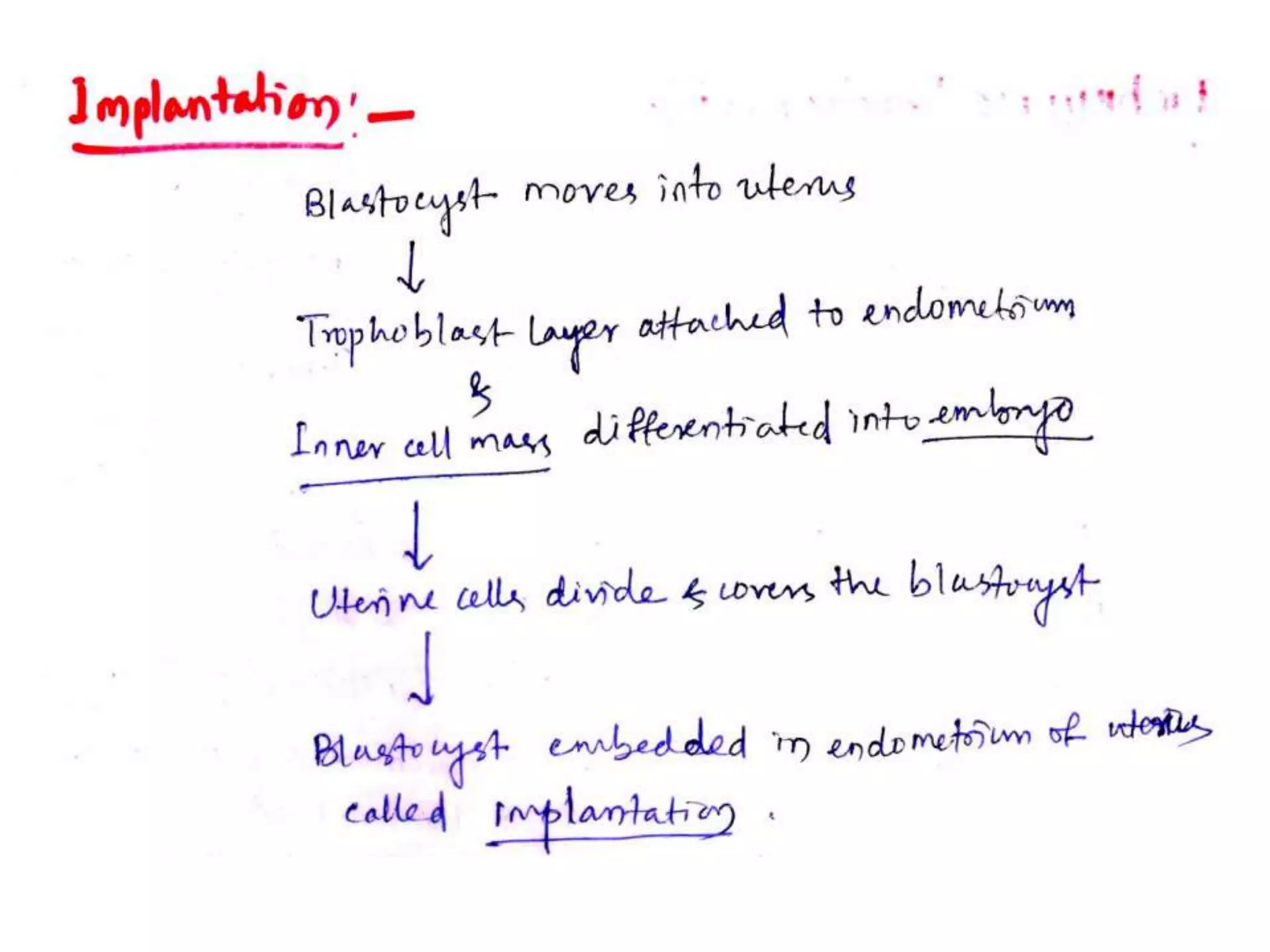 Human reproduction (Class 12) | PPTX