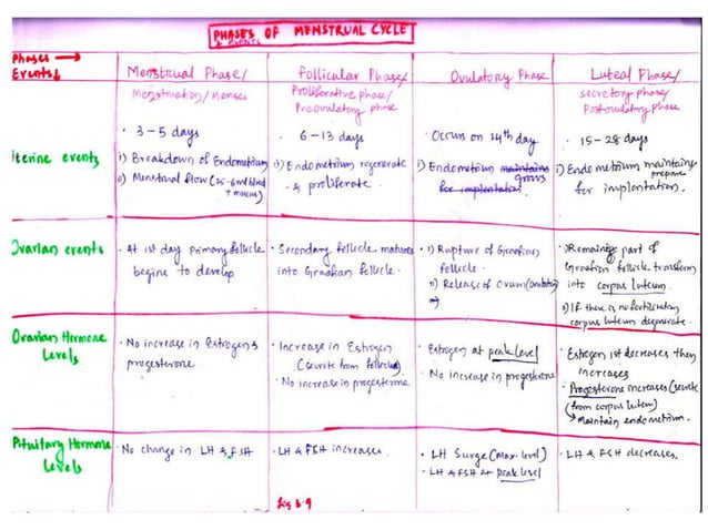 Human reproduction (Class 12) | PPTX