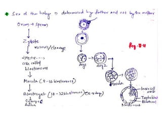 Human reproduction (Class 12) | PPTX