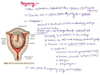 Human reproduction (Class 12) | PPTX