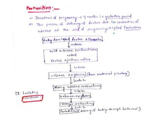 Human reproduction (Class 12) | PPTX