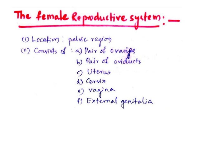 Human reproduction (Class 12) | PPTX