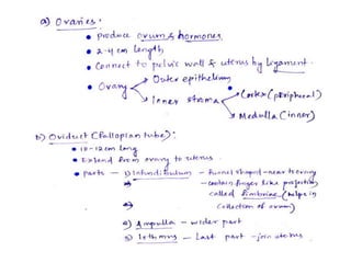 Human reproduction (Class 12) | PPTX