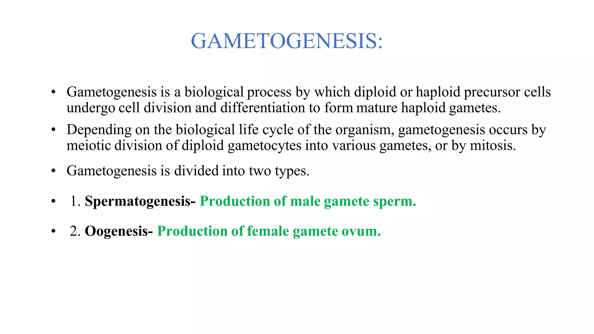 The Human reproduction Chapter-3 Class-12 | PPTX