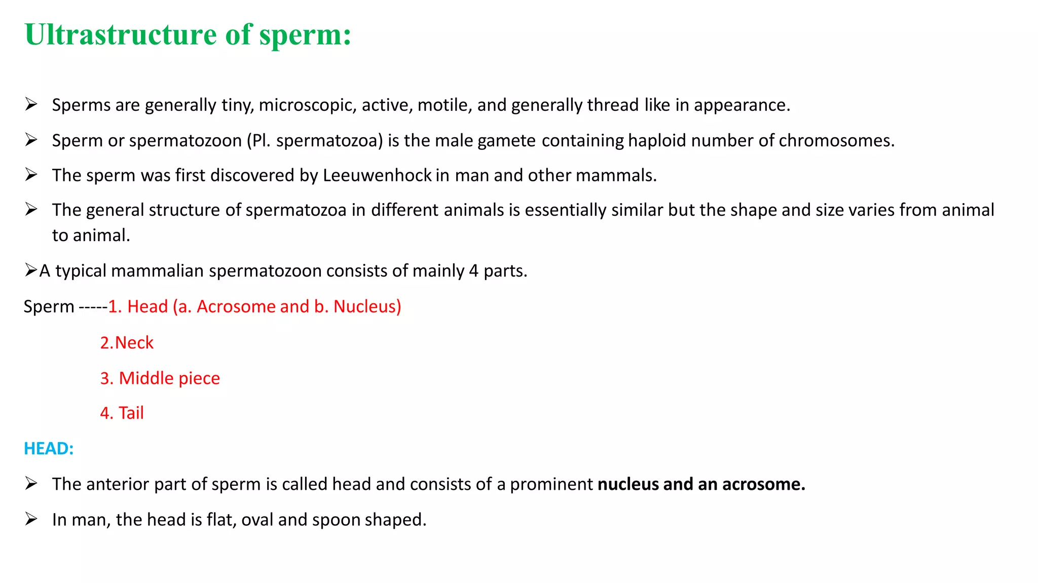 The Human reproduction Chapter-3 Class-12 | PPTX