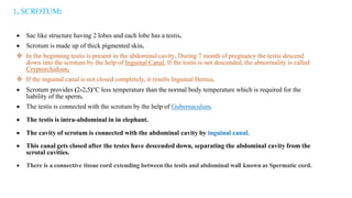 The Human reproduction Chapter-3 Class-12 | PPTX