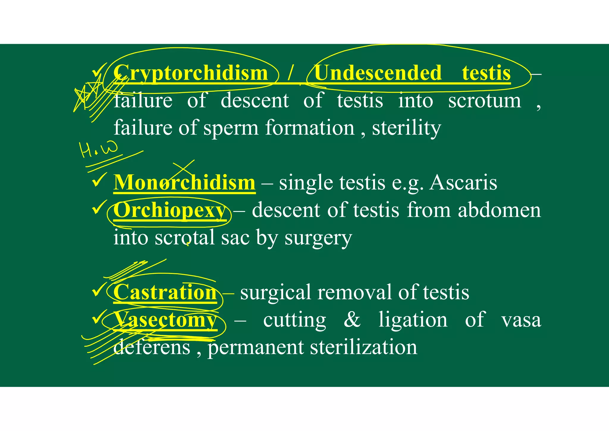 human reproduction.pdf