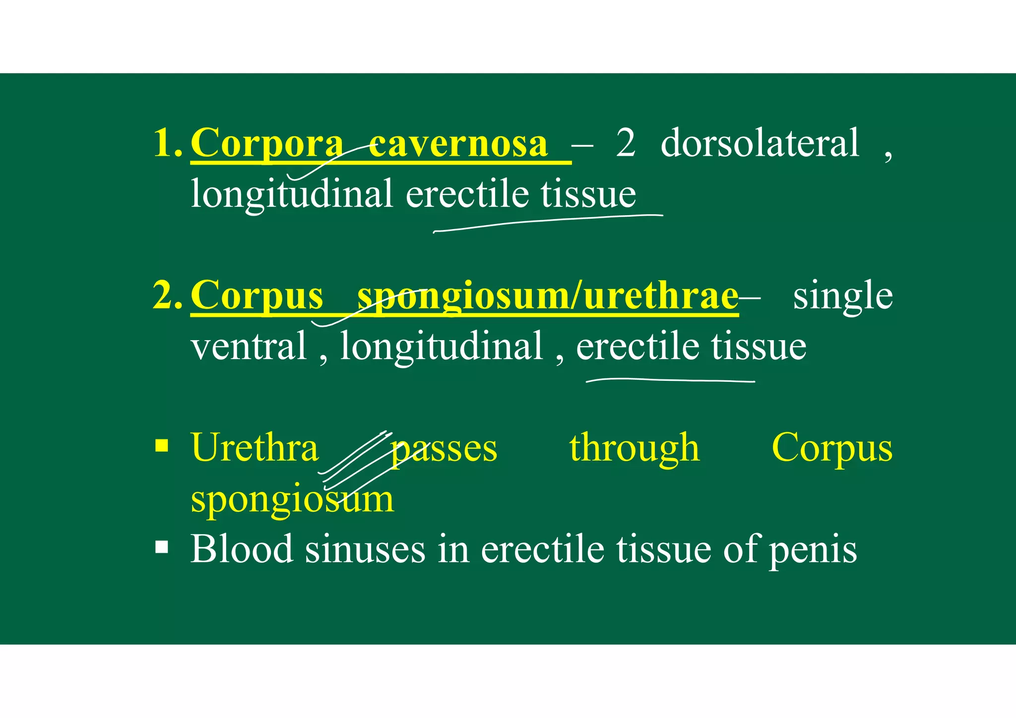 human reproduction.pdf
