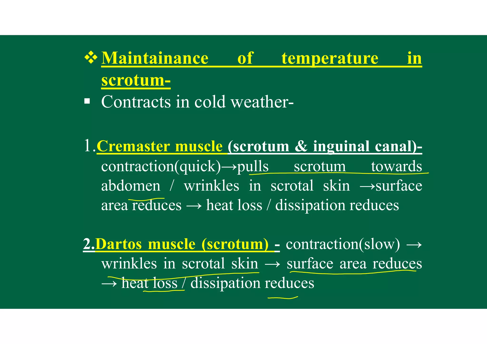 human reproduction.pdf