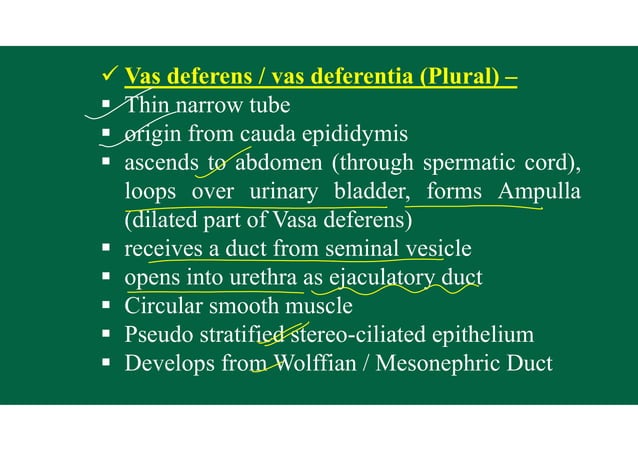 human reproduction.pdf