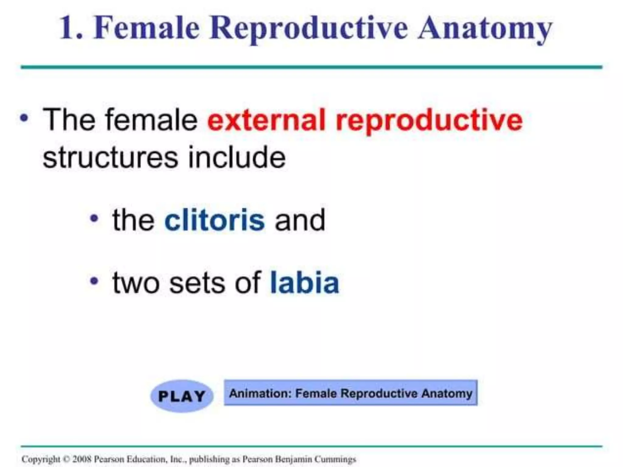 Human Reproduction.pptx