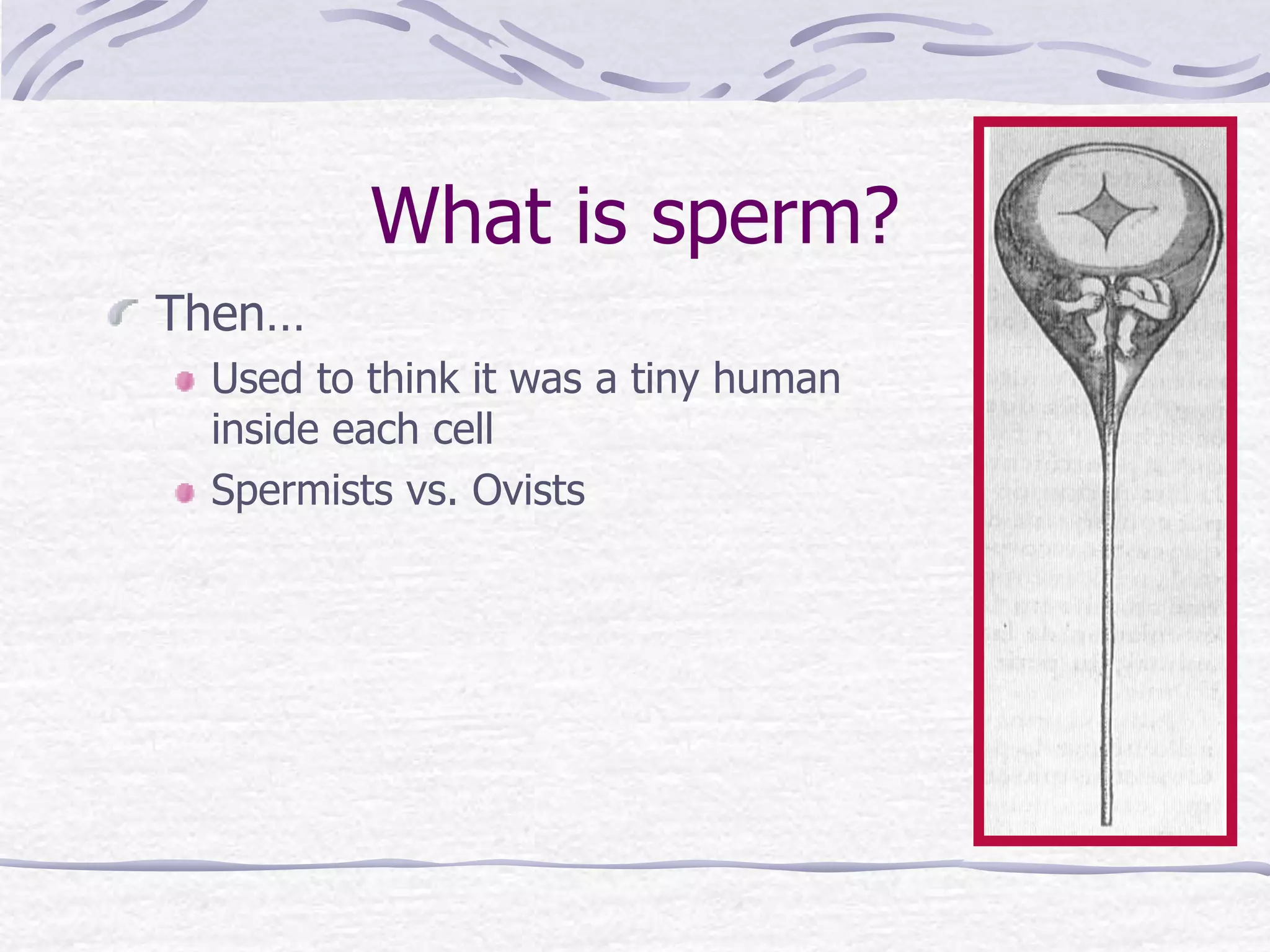 Human Reproduction.ppt