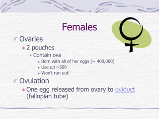 Human Reproduction.ppt