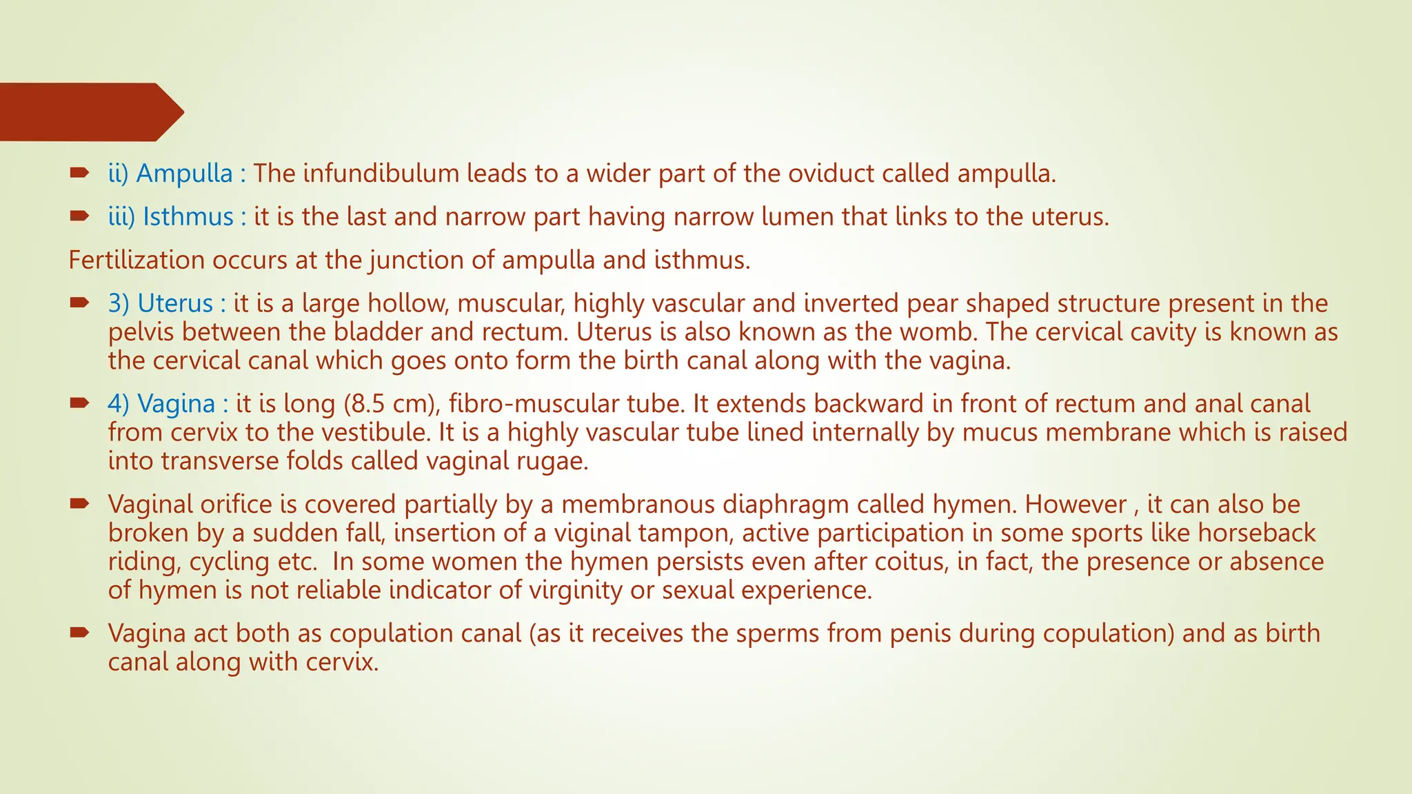 HUMAN REPRODUCTION.pptx