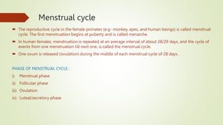 HUMAN REPRODUCTION.pptx