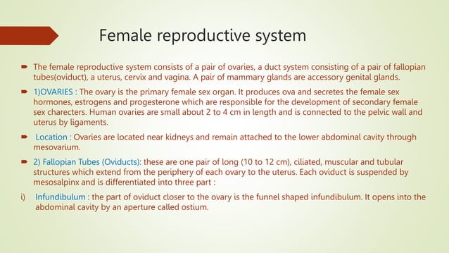 HUMAN REPRODUCTION.pptx
