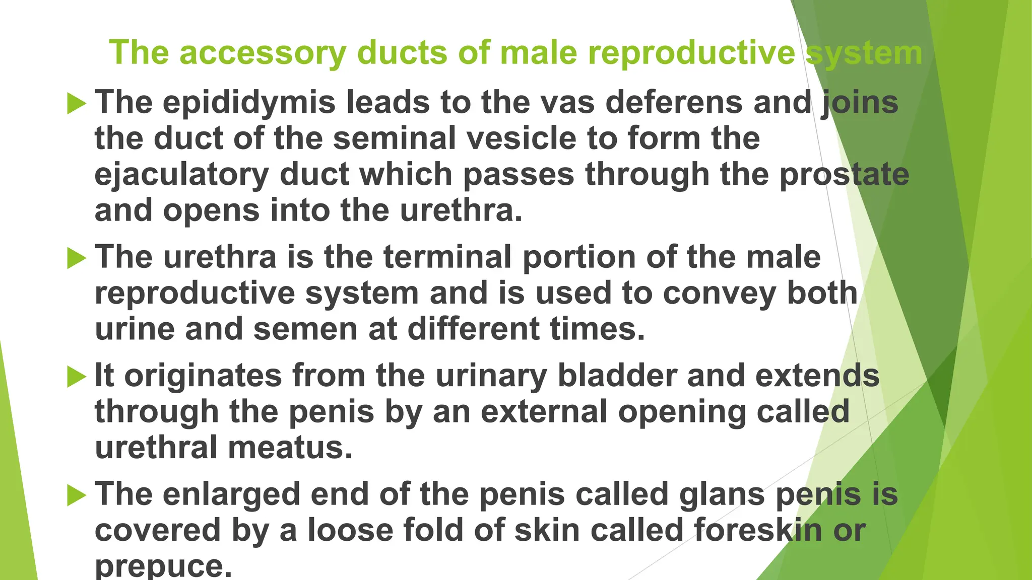 Human Reproducton and biological change.pptx