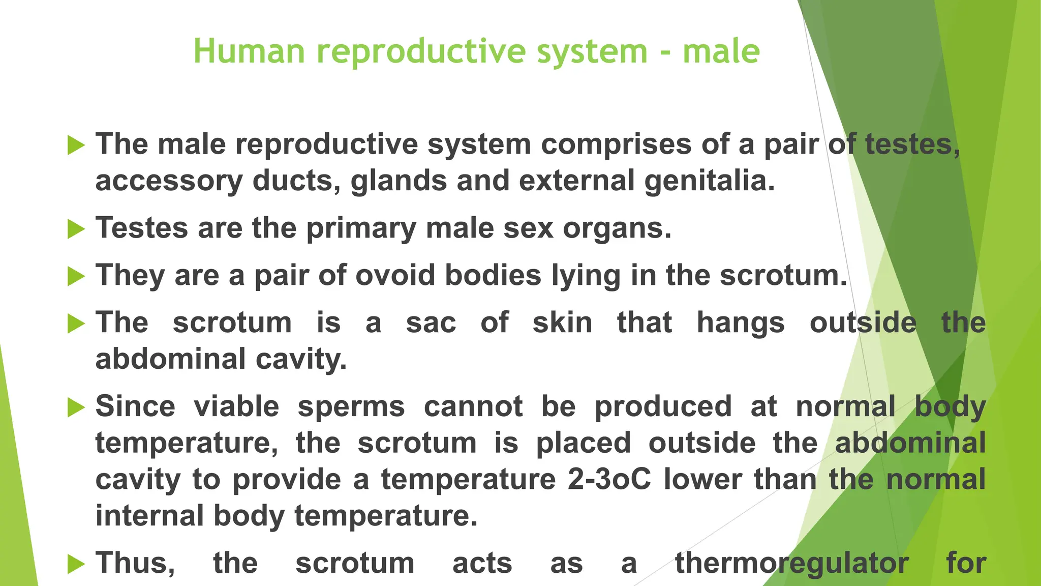 Human Reproducton and biological change.pptx