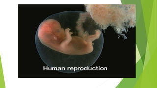 Human Reproducton and biological change.pptx