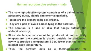 Human Reproducton and biological change.pptx